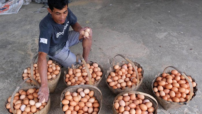 Harga Telur Ayam Lagi Mahal! Harga Telur Ayam Lagi Mahal!