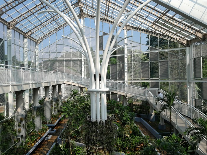 Potret Rumah Kaca Anggrek Kebun Raya Bogor yang Diresmikan Megawati