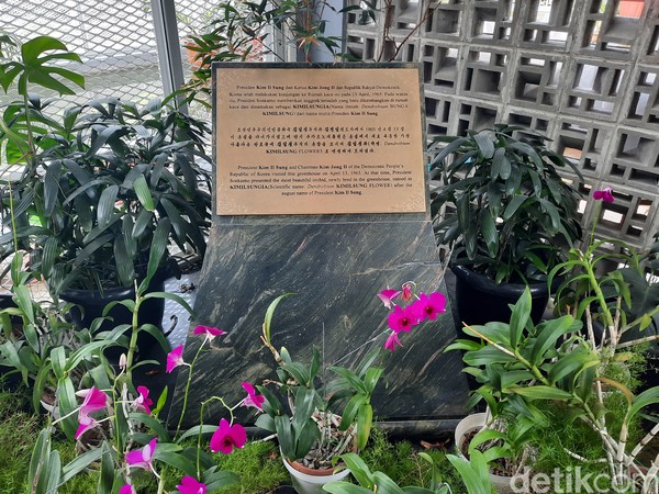 Melihat Wajah Baru Griya Anggrek Kebun Raya Bogor