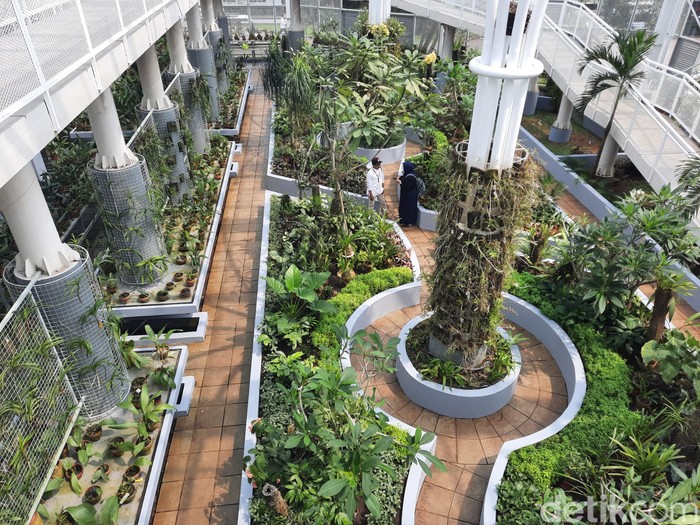 Melihat Wajah Baru Griya Anggrek Kebun Raya Bogor