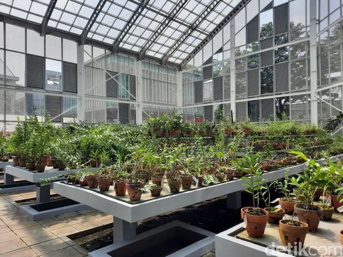 Melihat Wajah Baru Griya Anggrek Kebun Raya Bogor