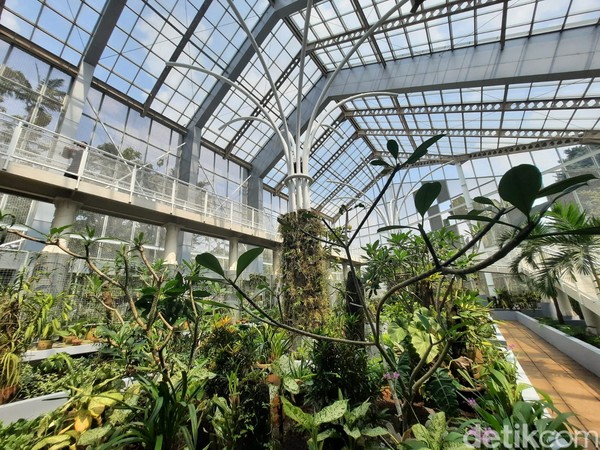 Melihat Wajah Baru Griya Anggrek Kebun Raya Bogor