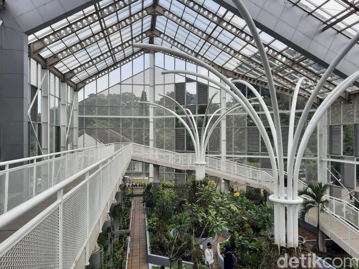 Melihat Wajah Baru Griya Anggrek Kebun Raya Bogor