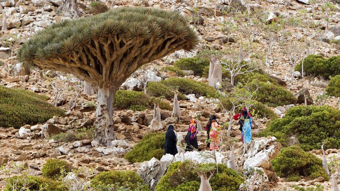 Disebut Tempat 'Dajjal' Sembunyi, Begini Penampakan Pulau Socotra