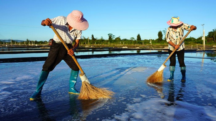 Potret Petani Memanen Garam di Leqing China