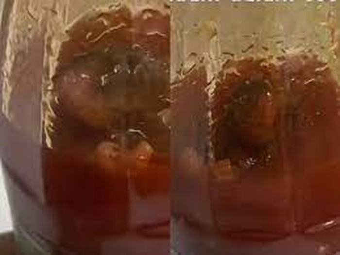 Bikin Mual! Wanita Ini Temukan Anak Tikus Berendam di Dalam Botol Saus Bikin Mual! Wanita Ini Temukan Anak Tikus Berendam di Dalam Botol Saus