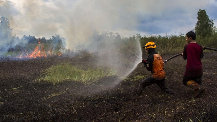 Hati-hati! Karhutla di Kalsel Kian Meluas Hati-hati! Karhutla di Kalsel Kian Meluas