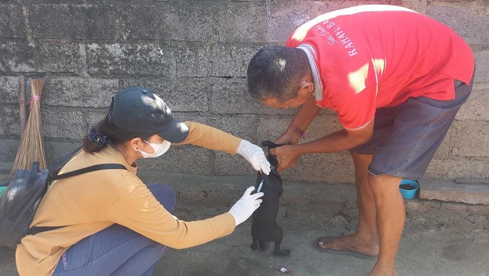 Dinkes Buleleng Catat 3.043 Gigitan Rabies hingga Juni 2023 Dinkes Buleleng Catat 3.043 Gigitan Rabies hingga Juni 2023
