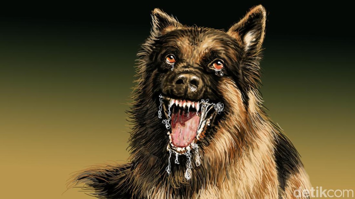 20 Kasus Anjing Positif Rabies di Badung, Kutsel Paling Rawan