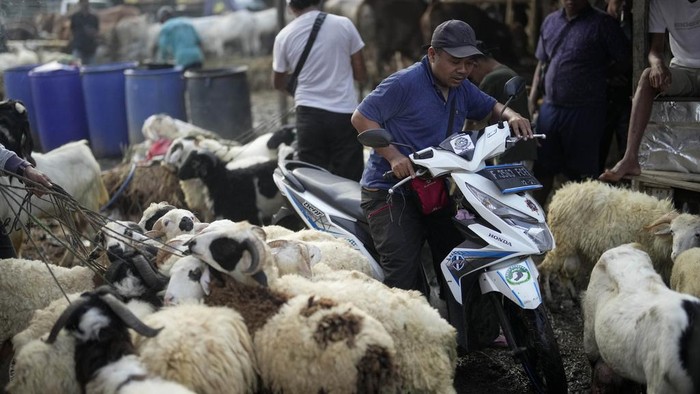 Suasana Pasar Ternak Jonggol yang Becek Usai Diguyur Hujan