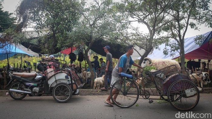 Alhamdulillah, Ojek Kurban Kebanjiran Rezeki Jelang Idul Adha Alhamdulillah, Ojek Kurban Kebanjiran Rezeki Jelang Idul Adha