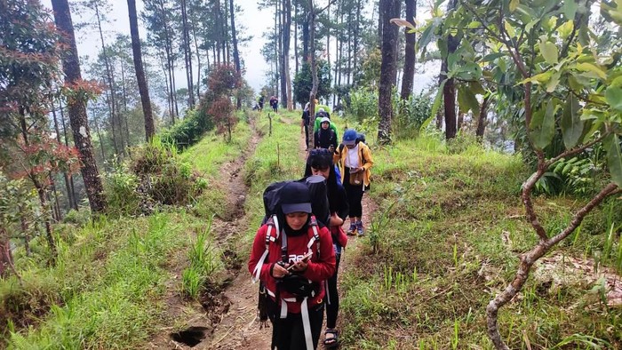 Menikmati Indahnya Panorama Merbabu di Ketinggian 3.142 mdpl