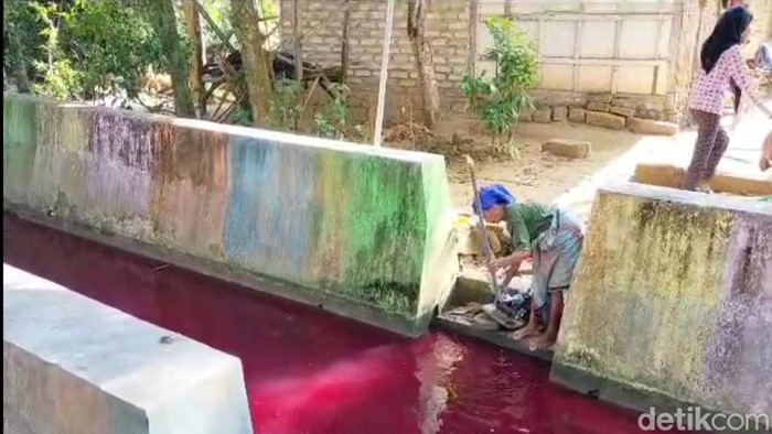 Viral Warna Air Sungai di Pamekasan Berubah Jadi Merah Darah Viral Warna Air Sungai di Pamekasan Berubah Jadi Merah Darah