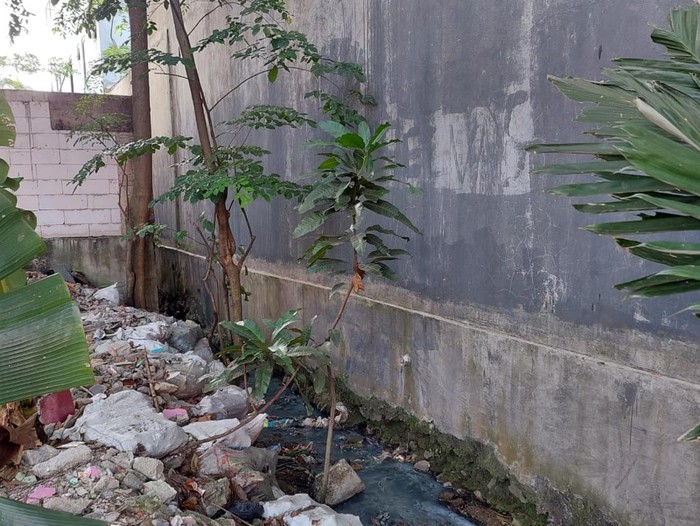 Potret Got yang Jadi Satu-satunya Akses ke Rumah Terhimpit Hotel di Bekasi