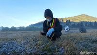 Embun di Dieng Membeku Lagi, Suhunya Minus 3,5 Derajat Celsius