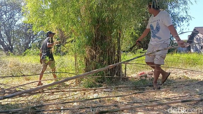 Penjual Tiang Bendera Berbahan Bambu di Pasuruan Raup Untung Sambut 17-an Penjual Tiang Bendera Berbahan Bambu di Pasuruan Raup Untung Sambut 17-an