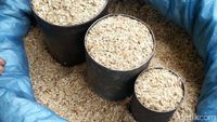 Tipa-tipa, Sereal Khas Samosir Terbuat dari Beras