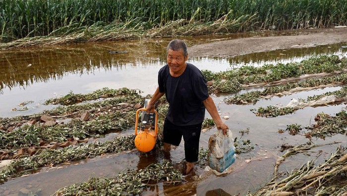 Ladang Jagung Siap Panen di China Rusak Diterjang Banjir