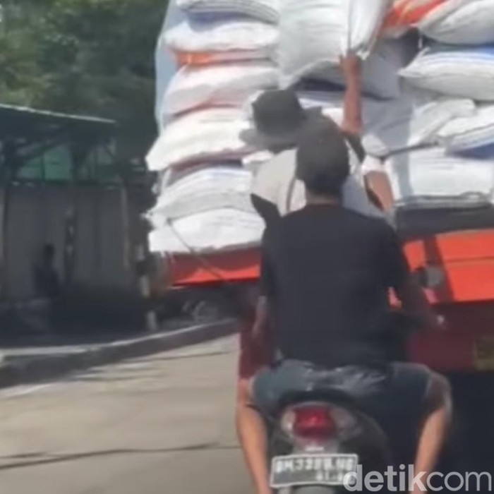 Viral Bajing Loncat Curi Beras Bulog di Dumai, Polisi Buru Pelaku