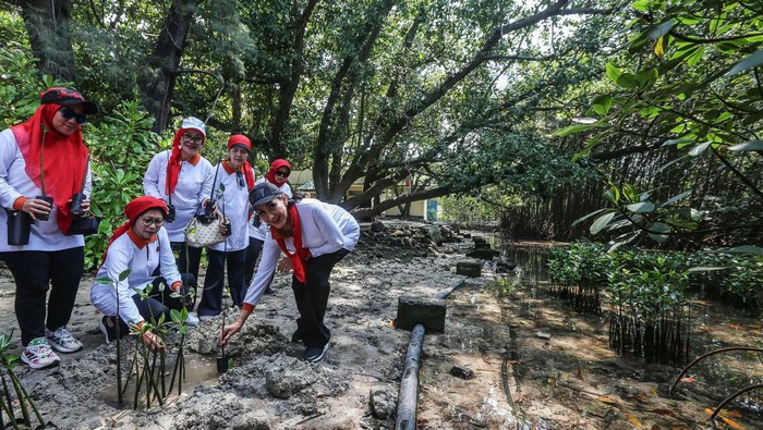 Kowani Peringati Hari Konservasi Alam Nasional 2023