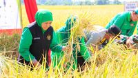 Gubernur Khofifah Bagi Resep Jatim Jadi Penghasil Padi Terbesar se-Indonesia