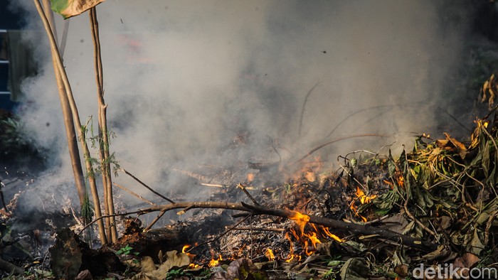 Potret Pembakaran Sampah Ilegal, Biang Kerok Polusi Udara Tangsel