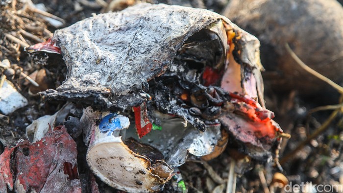 Potret Pembakaran Sampah Ilegal, Biang Kerok Polusi Udara Tangsel