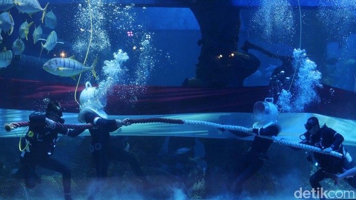 HUT RI, Bendera Sepanjang 25 Meter Dikibarkan di Aquarium Raksasa