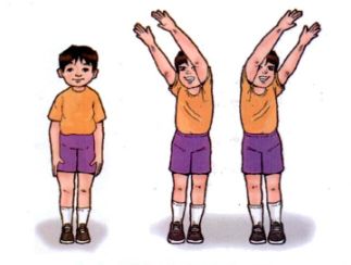 Gerakan Senam Irama Dasar, Dengan dan Tanpa Alat, serta di Tempat