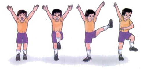 Gerakan Senam Irama Dasar, Dengan dan Tanpa Alat, serta di Tempat