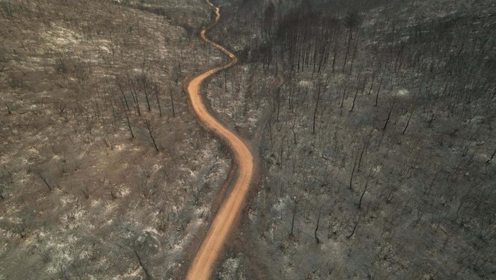 Desa di Yunani Ini jadi Tandus Gegara Kebakaran Hutan