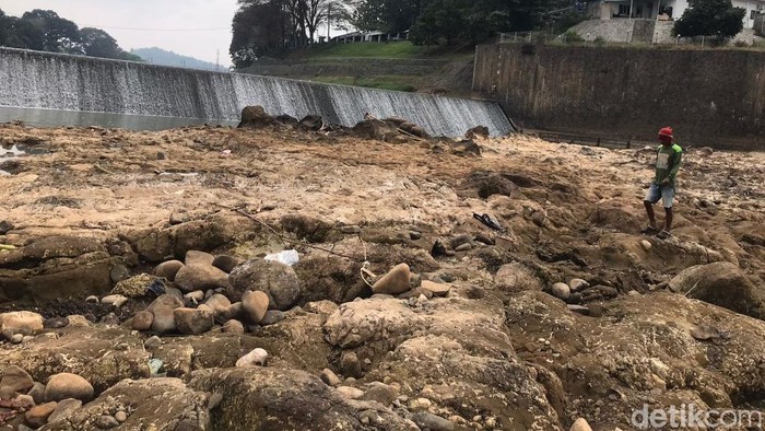 Kemarau Bikin Citanduy Menyusut hingga Dasar Sungainya Terlihat