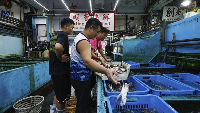 Protes Limbah, Hong Kong Terapkan Larangan Impor Makanan Laut Jepang Protes Limbah, Hong Kong Terapkan Larangan Impor Makanan Laut Jepang