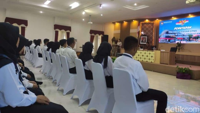 Apakah Pppk Bisa Untuk Fresh Graduate Ini Penjelasannya