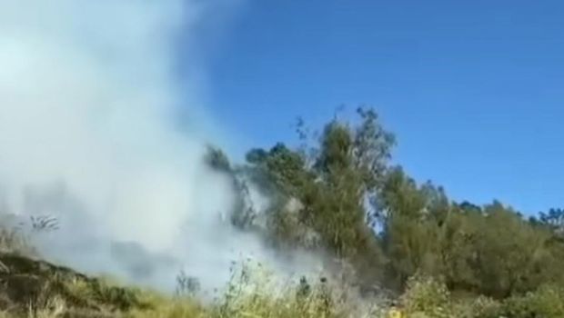 4 Hal Diketahui soal Kebakaran di Savana Gunung Bromo 4 Hal Diketahui soal Kebakaran di Savana Gunung Bromo