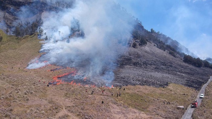 4 Hal Diketahui soal Kebakaran di Savana Gunung Bromo 4 Hal Diketahui soal Kebakaran di Savana Gunung Bromo
