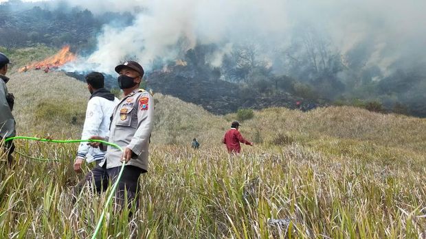 5 Hal Diketahui soal Kebakaran Bukit Teletubbies Gunung Bromo 5 Hal Diketahui soal Kebakaran Bukit Teletubbies Gunung Bromo