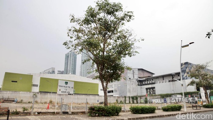 Bunga Tabebuya di Jalan Sudirman dan Kemang Raya Mulai Berguguran