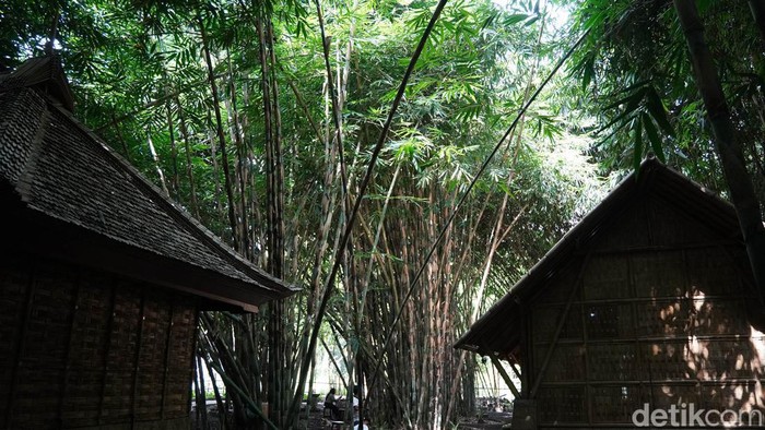 Wisata Tersembunyi di Desa Penglipuran Itu Bernama Hutan Bambu