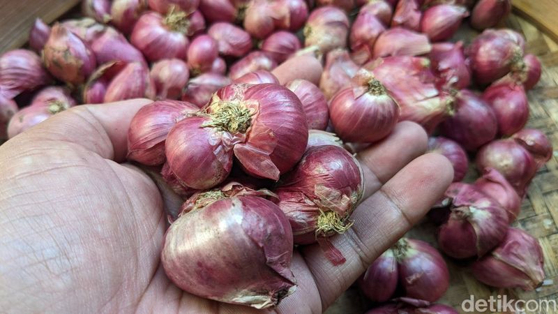 5 Aksi Pencurian Makanan Ini Bikin Pemiliknya Rugi Ratusan Juta! 5 Aksi Pencurian Makanan Ini Bikin Pemiliknya Rugi Ratusan Juta!