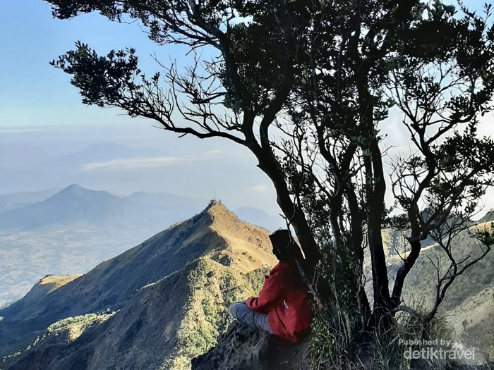 Mendaki Gunung Merbabu via Suwanting, Pemandangannya Amazing!