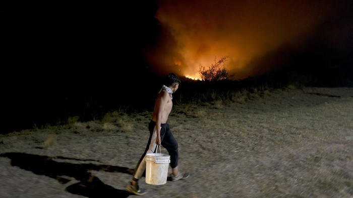 Kebakaran Hutan Mengamuk di Argentina Gegara Api Unggun