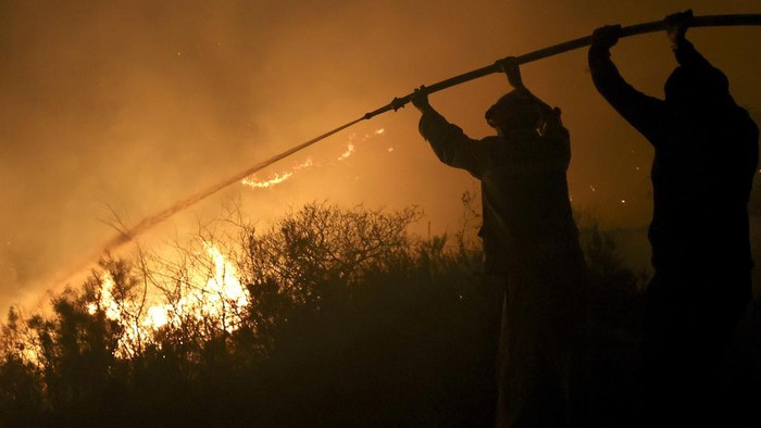 Kebakaran Hutan Mengamuk di Argentina Gegara Api Unggun