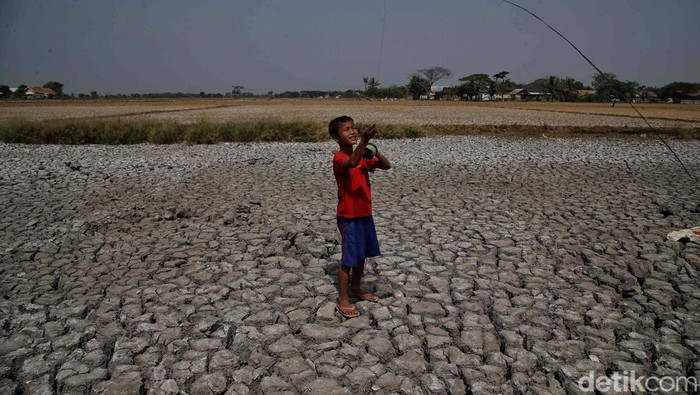 Potret Terkini Kekeringan yang Melanda Kabupaten Bekasi