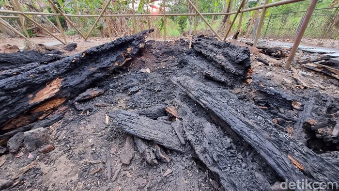 Potret Pohon Randu Alas Ratusan Tahun yang Habis Terbakar di Makam Pleret