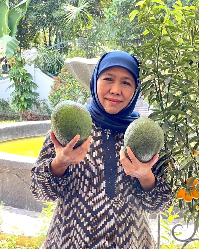 Khofifah Indar Prawansa, Sosok yang Hobi Kuliner hingga Panen Buah