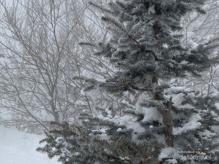 Tips Mandi Salju di Gunung Uludag Turki