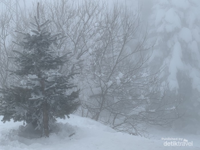 Tips Mandi Salju di Gunung Uludag Turki