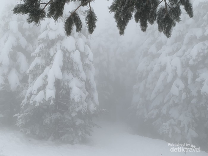 Tips Mandi Salju di Gunung Uludag Turki