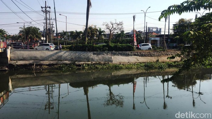 Penampakan Sungai Kalisari Damen Bersih Dari Eceng Gondok